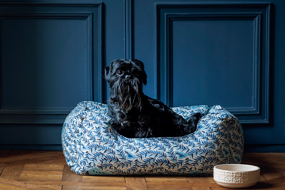 パリから届いた、ドッグニュース。｜Paris｜madameFIGARO.jp（フィガロジャポン）