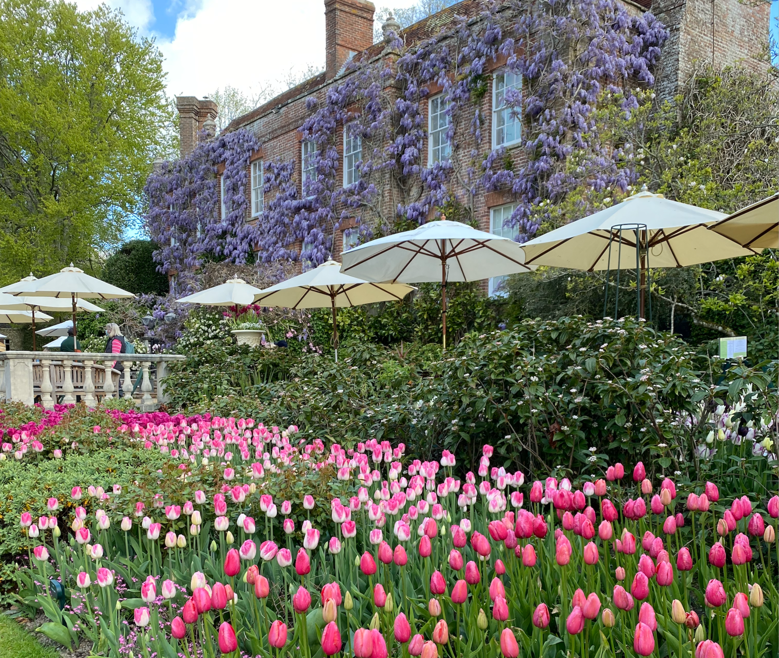 イギリスのお庭：Pashley Manor Gardens パシュリーマナーガーデンズ｜Butterdrop Diary 『ロンドン郊外の ...
