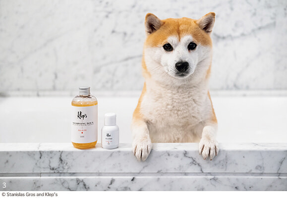 【写真】パリから届いた、ドッグニュース。｜Culture｜madameFIGARO.jp（フィガロジャポン）